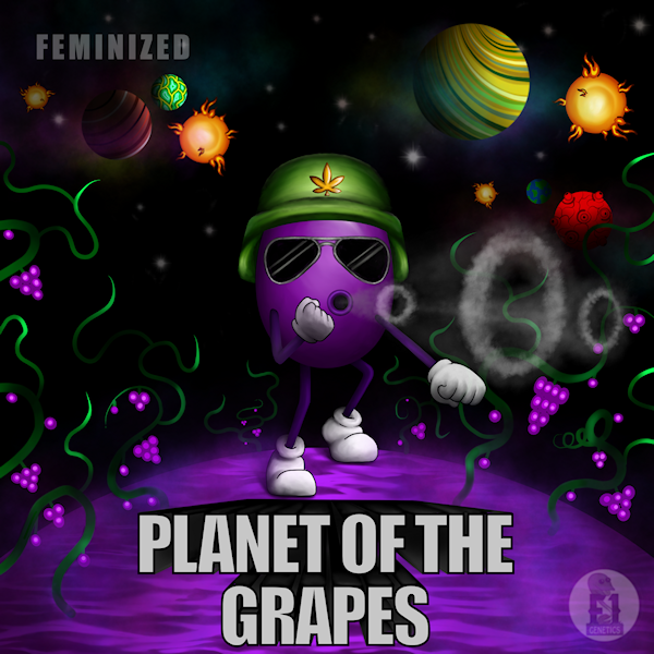 Planet of the Grapes S1 - F1 GENETICS